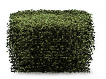 300+ Revit Plant Families - ( Free + No Registration )