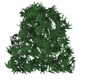 300+ Revit Plant Families - ( Free + No Registration )