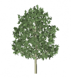 300+ Revit Plant Families - ( Free + No Registration )